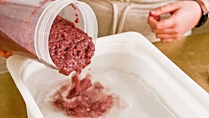 Craft for Kids: How to Make Handmade Paper | ellaslist