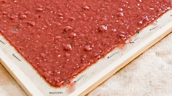 Craft for Kids: How to Make Handmade Paper | ellaslist