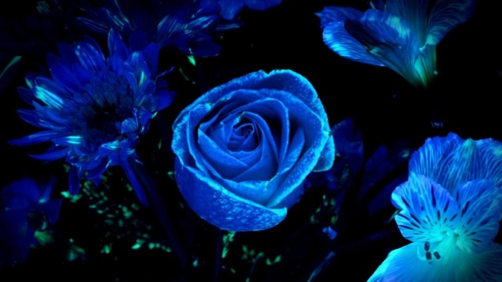 Mopoke: Sydney's 24-Hour Glow-in-the-Dark Festival | ellaslist