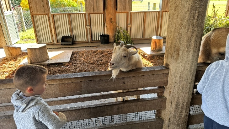 Symbio Wildlife Park: One of Our Favourite Animal Outings is Now ...