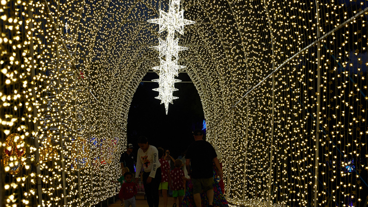 Step Into a Winter Wonderland at Adventure Park's Winter Glow | ellaslist