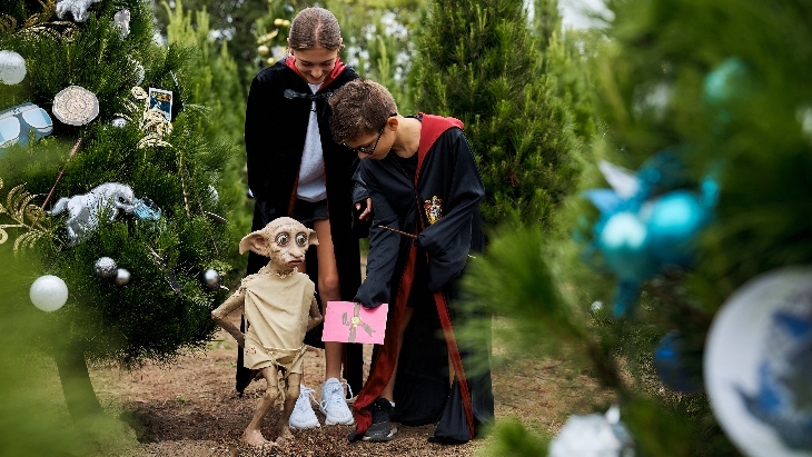 Harry Potter Has Arrived at Sydney's Dural Christmas Tree Farm | ellaslist