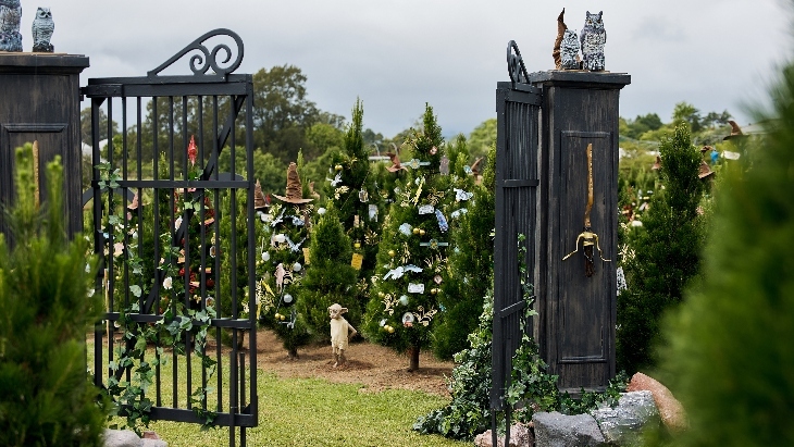 Harry Potter Has Arrived at Sydney's Dural Christmas Tree Farm | ellaslist