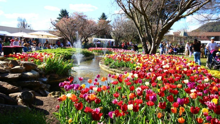 NSW Family Sunday Drive: We're Off To Bowral | ellaslist