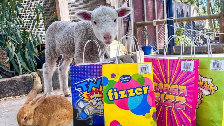 Gumbuya World Theme Park: Rides, Water Park & Wildlife Near | ellaslist