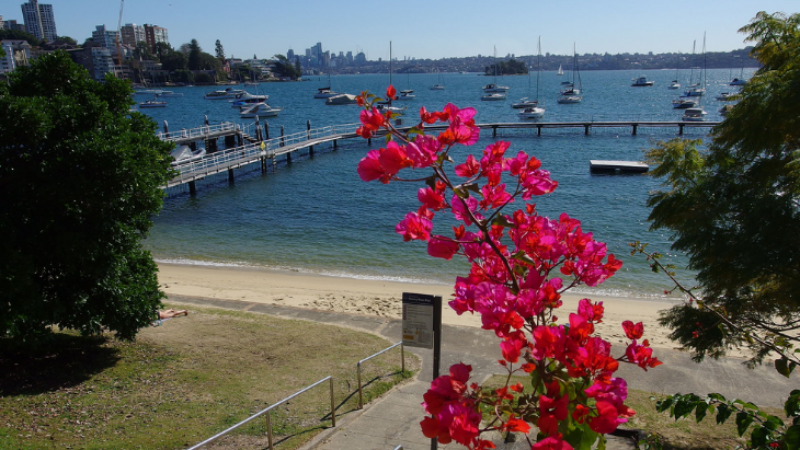 25 of the Best Cafes by the Water in Sydney | ellaslist