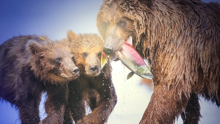 Challenging the Deep at The Australian National Maritime Museum With ...
