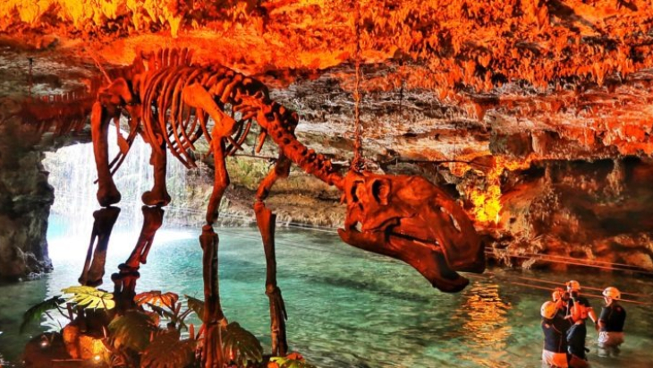 The Ultimate Jungle Adventure Park Awaits! | ellaslist