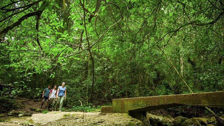 Six of the Best Hikes Near Brisbane | ellaslist Six of the Best Hikes Near Brisbane | ellaslist